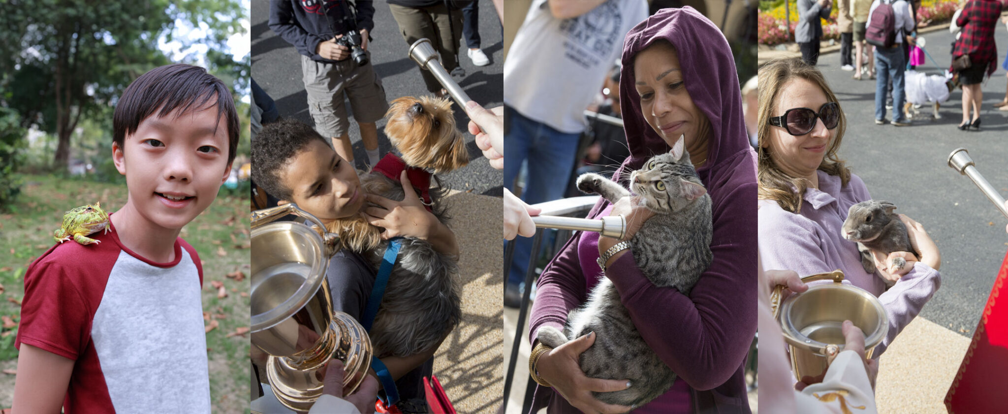 Feast Day of Saint Francis Assisi - The Blessing of the Animals October ...