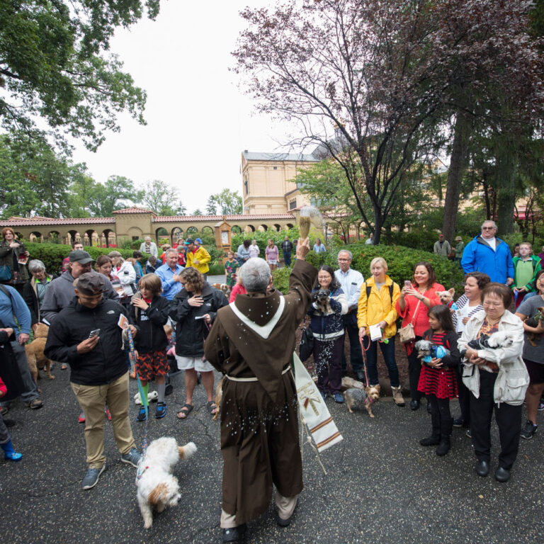 Feast Day of Saint Francis Assisi - The Blessing of the Animals October ...